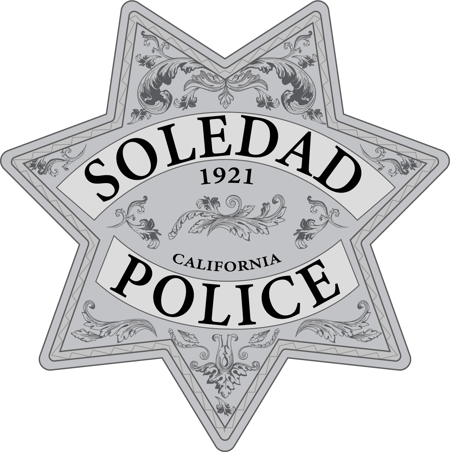Soledad Police Department to Install Flock Cameras - City of Soledad